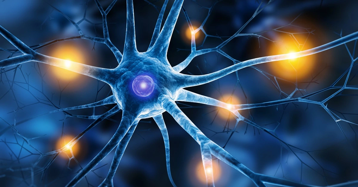 Understanding the perceptron neuron model – Neural Designer